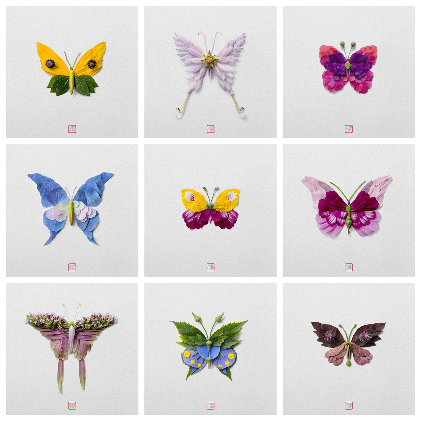Natura Insects by Raku Inoue – Varietats