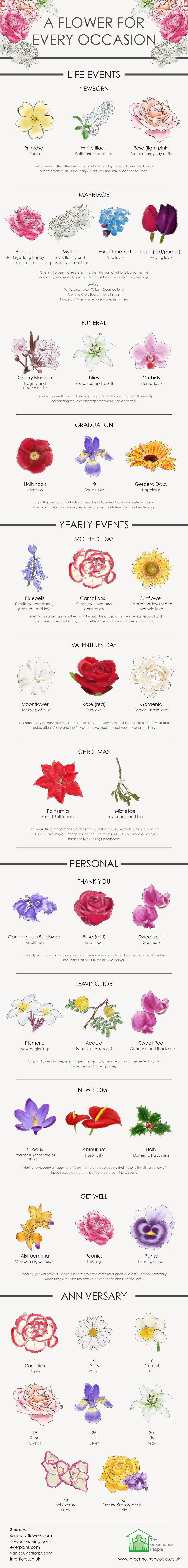 A Flower For Every Occasion Infographic – Varietats