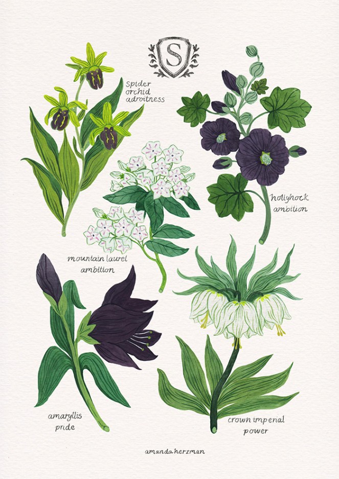 Floriography Series by Amanda Herzman – Varietats