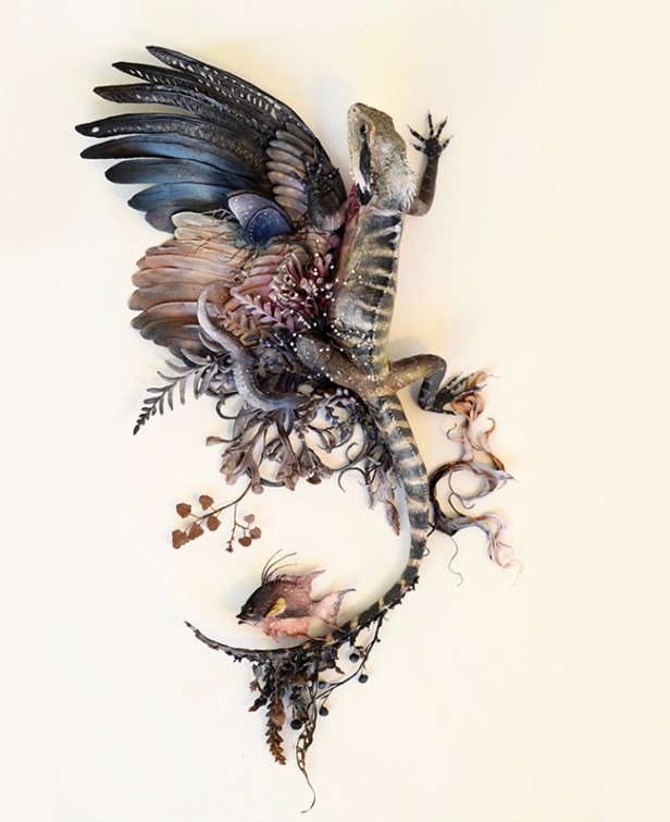 Ellen June Art – Varietats