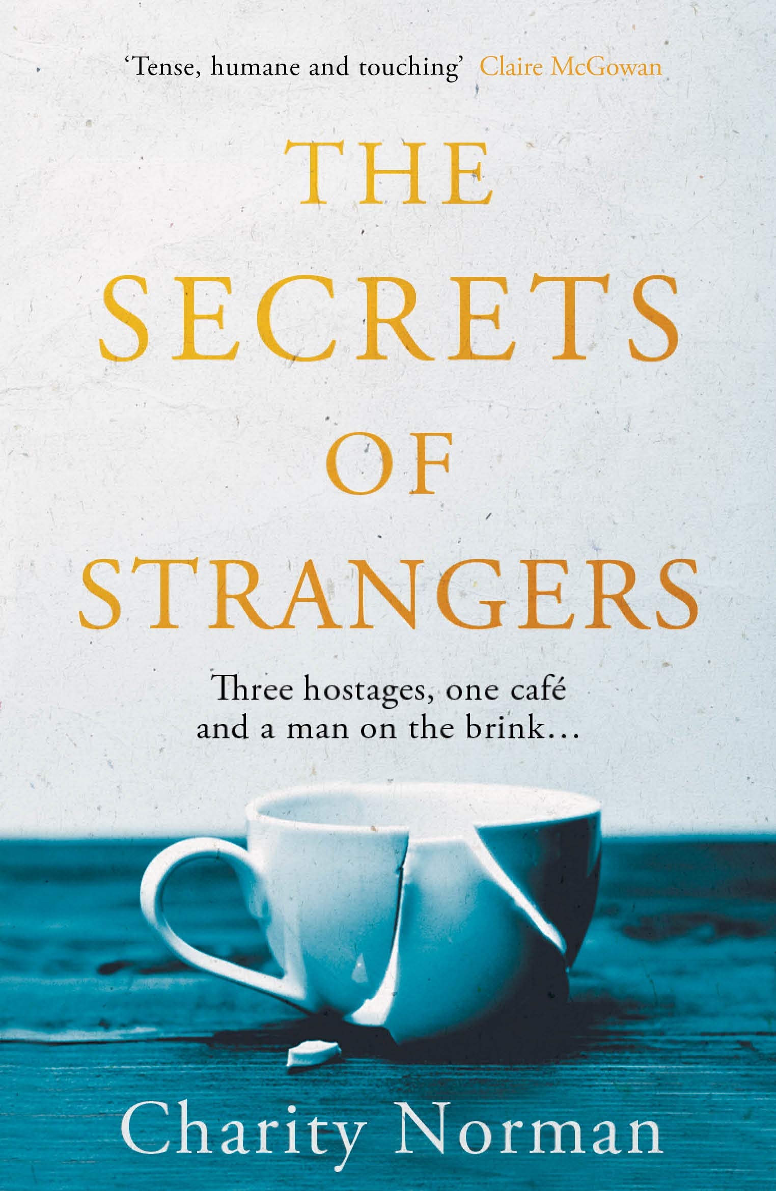 The Secrets of Strangers by Charity Norman – Blog Tour – Varietats