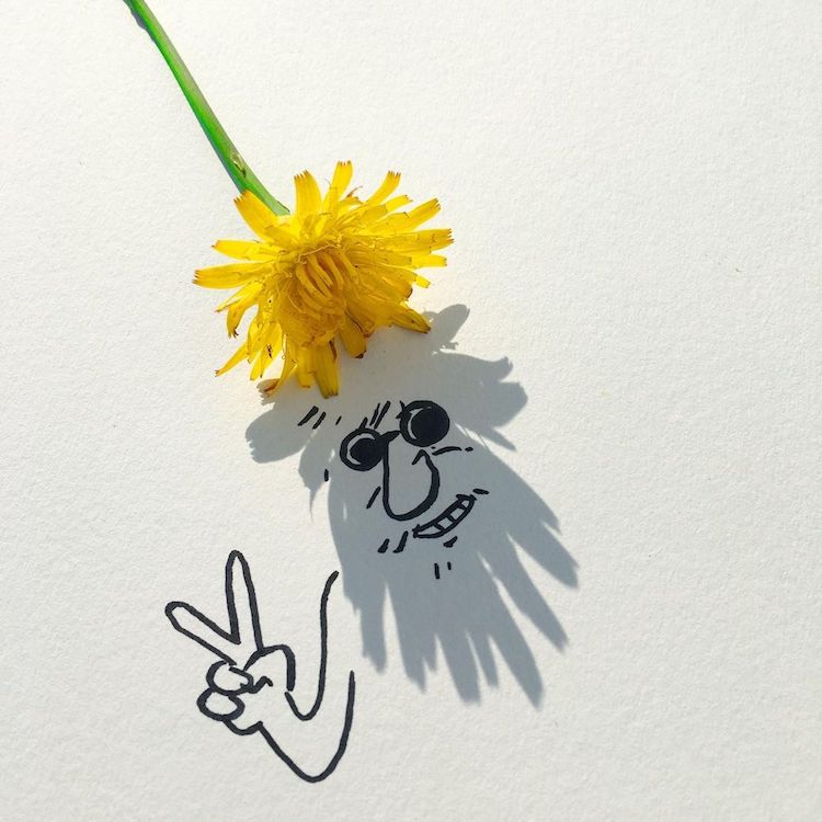 Shadowology by Vincent Bal – Varietats